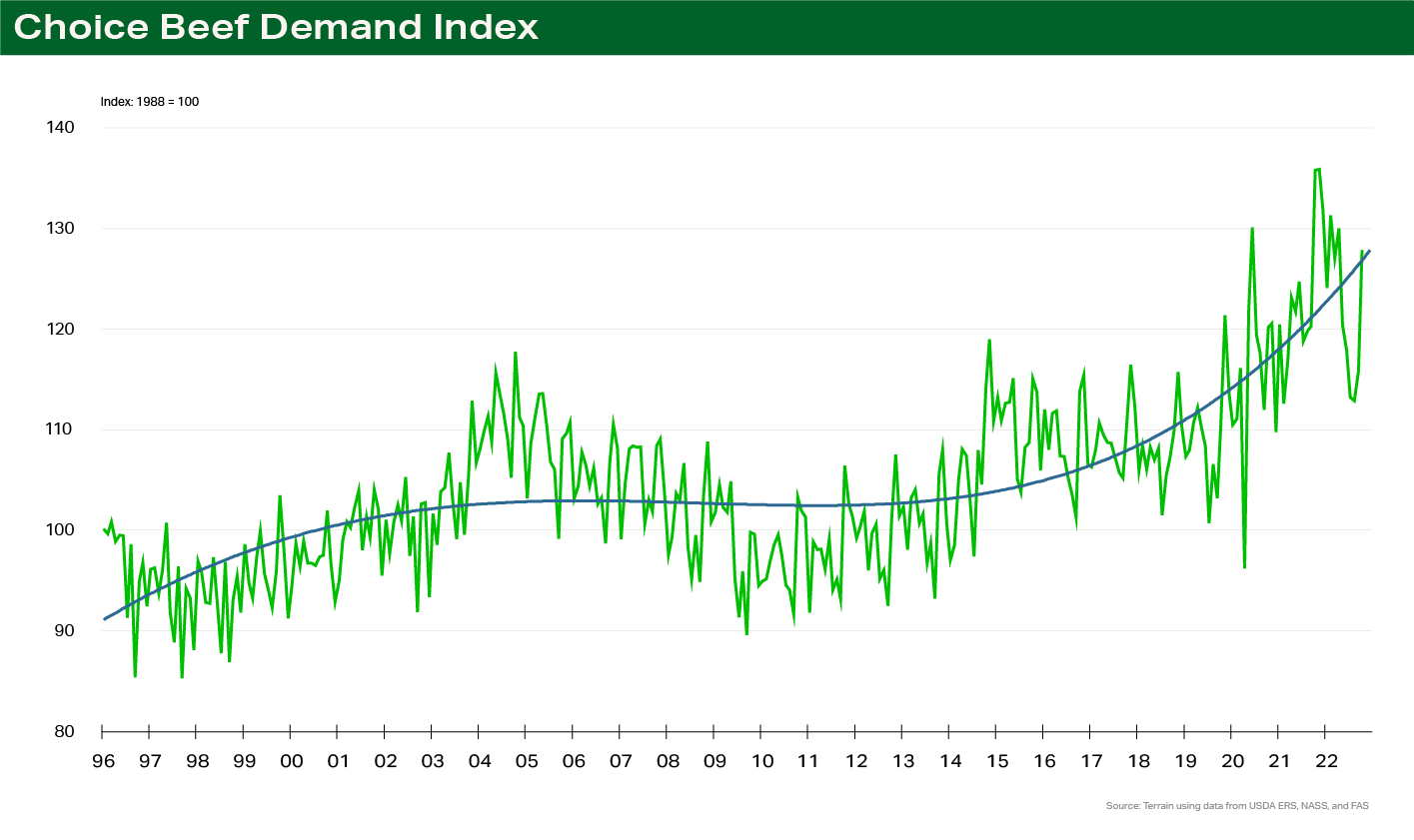 Terrain | Rebuilding the Beef Supply Chain After the Drought