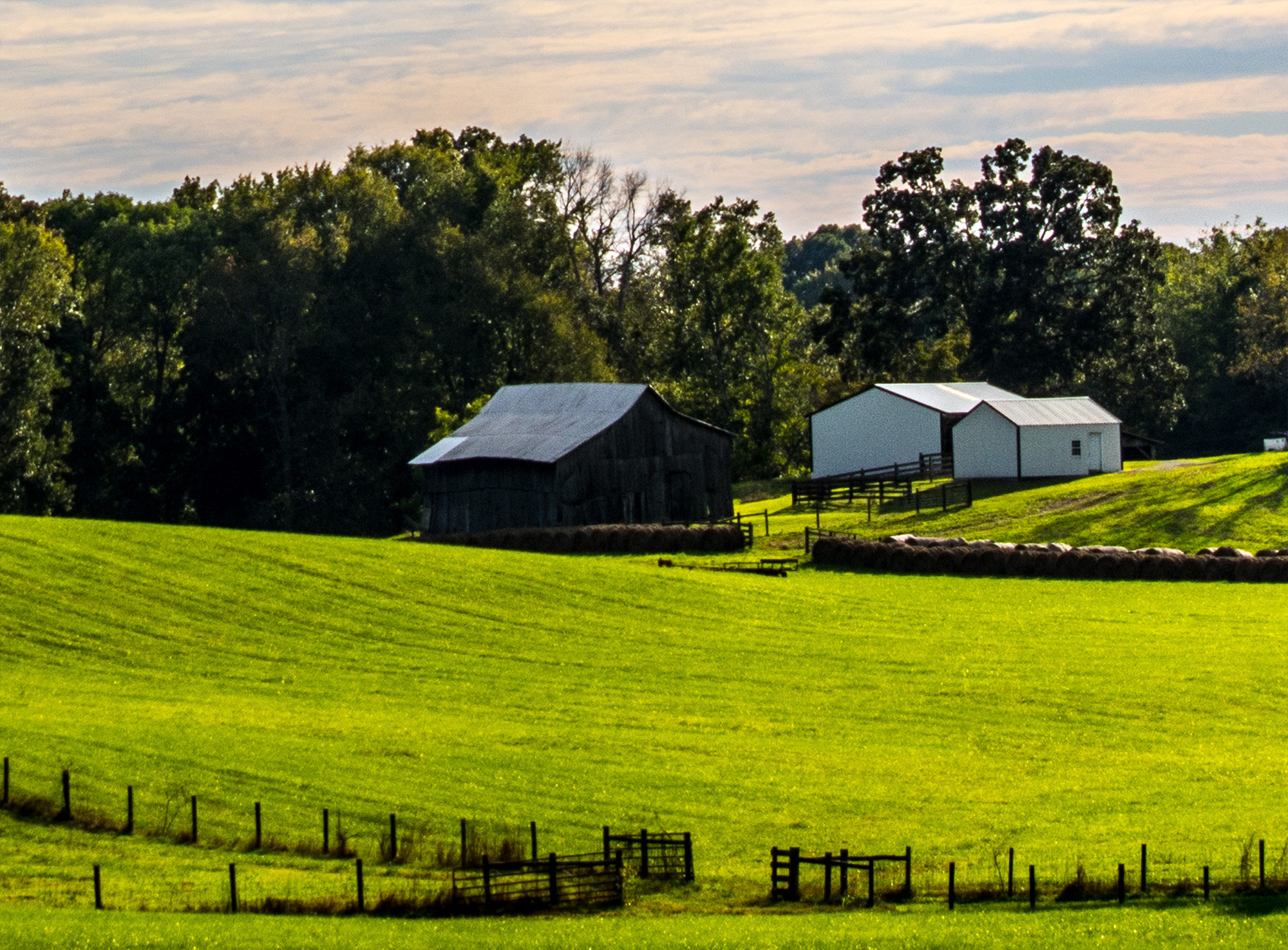 Terrain | Are You a Young, Beginning or Small Farmer?